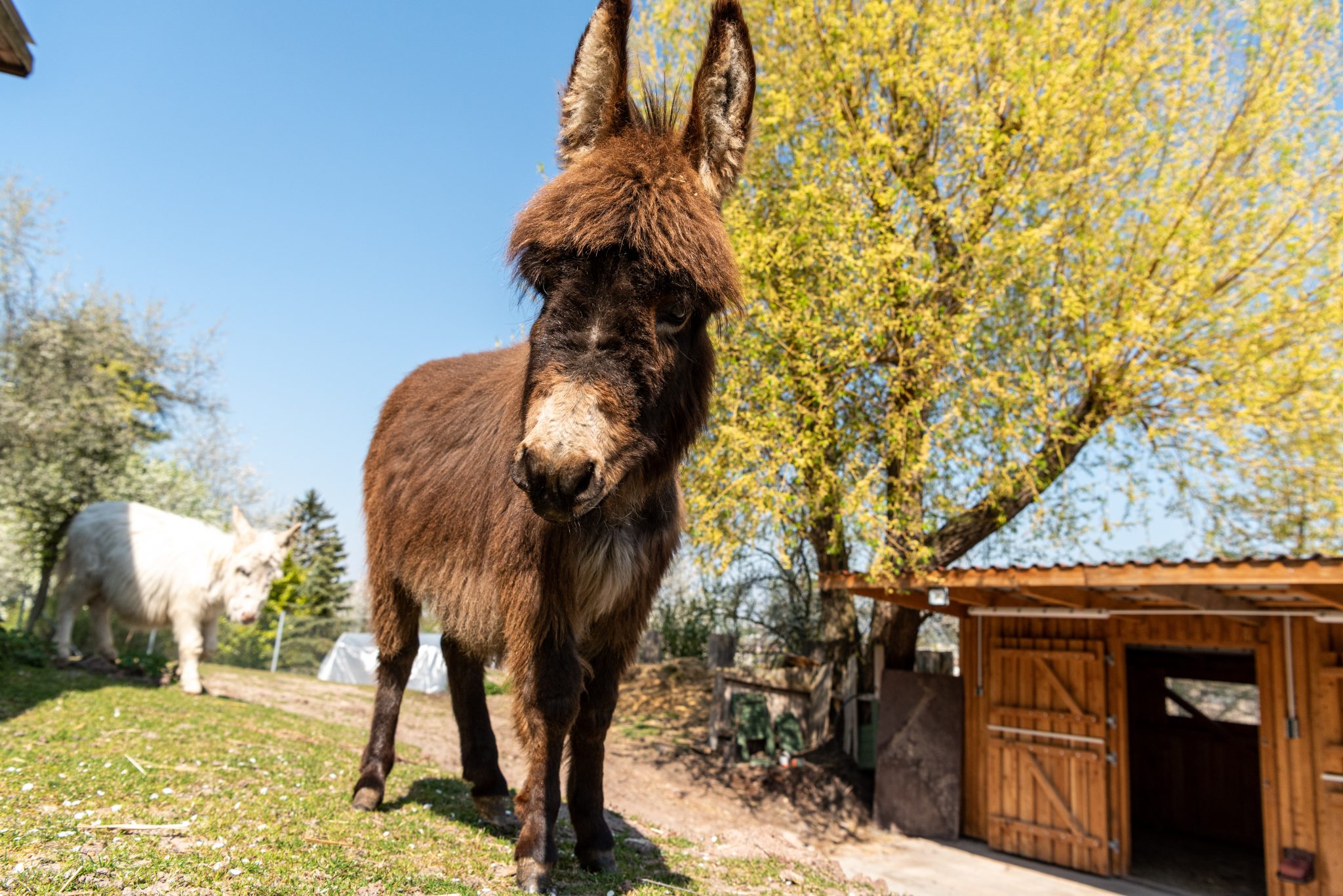 Aktivspielplatz Krempoli