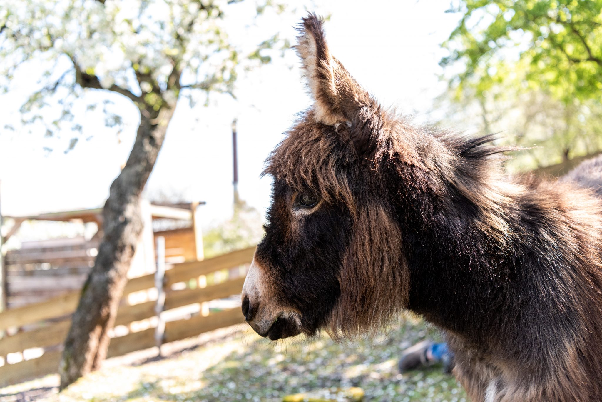 Aktivspielplatz Krempoli