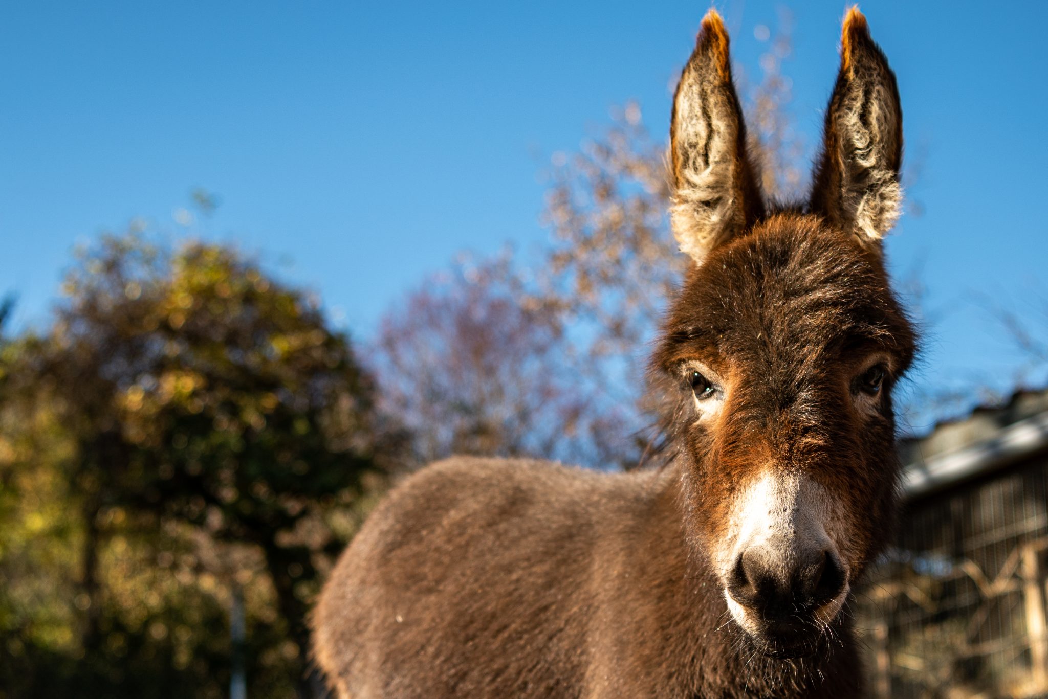 Aktivspielplatz Krempoli
