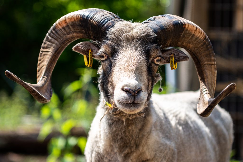 Aktivspielplatz Krempoli