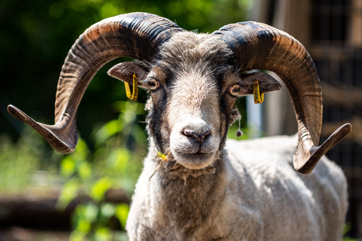 Aktivspielplatz Krempoli