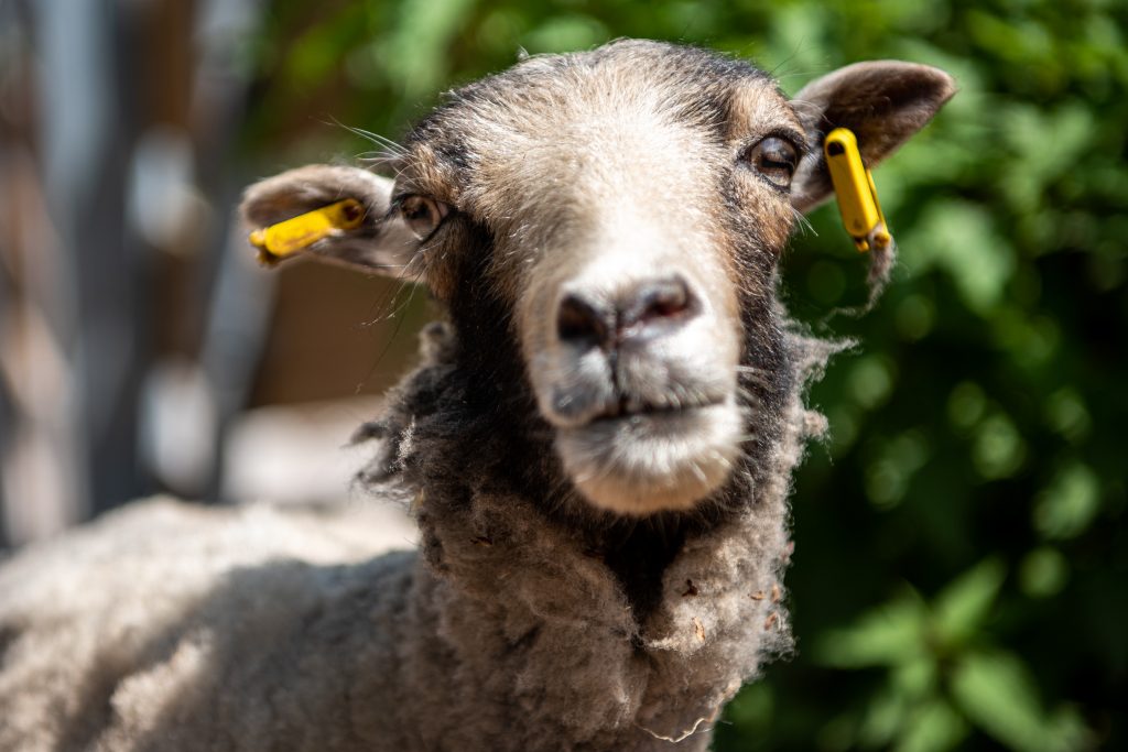 Aktivspielplatz Krempoli