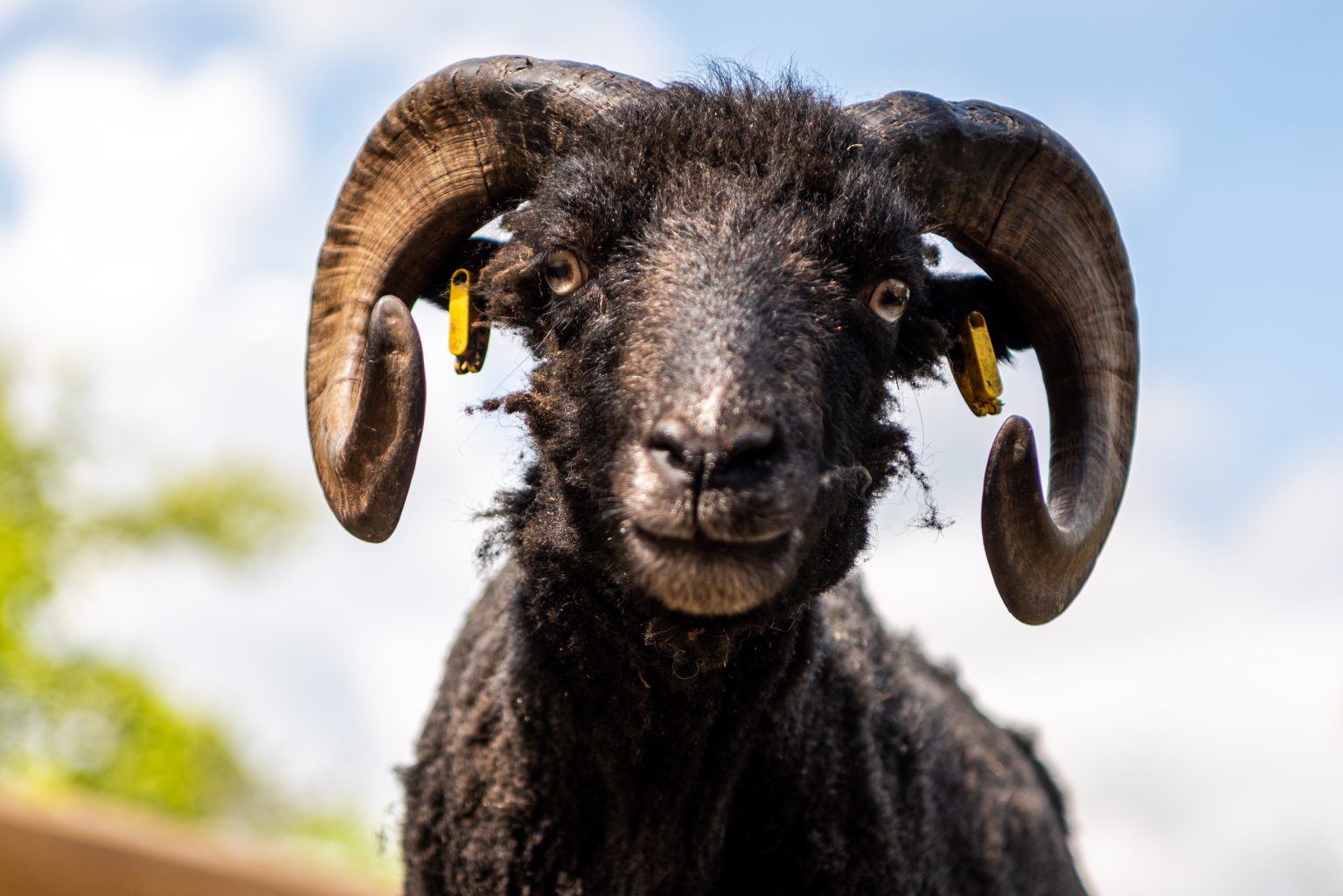 Aktivspielplatz Krempoli