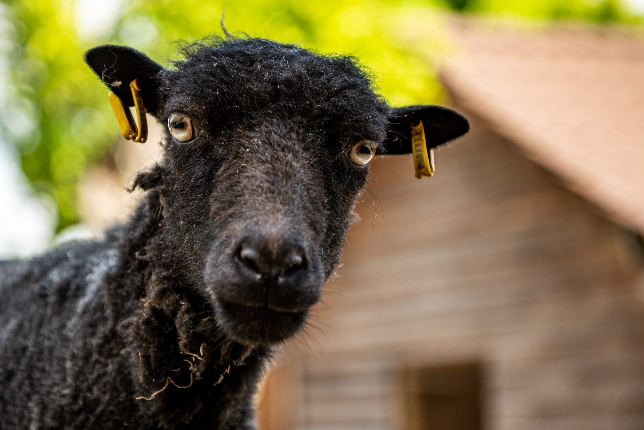 Aktivspielplatz Krempoli