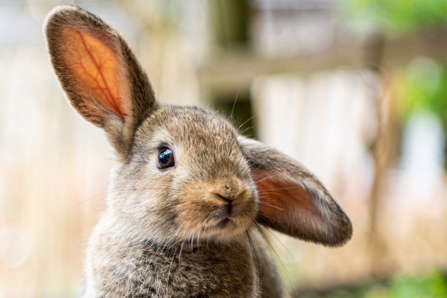 Aktivspielplatz Krempoli