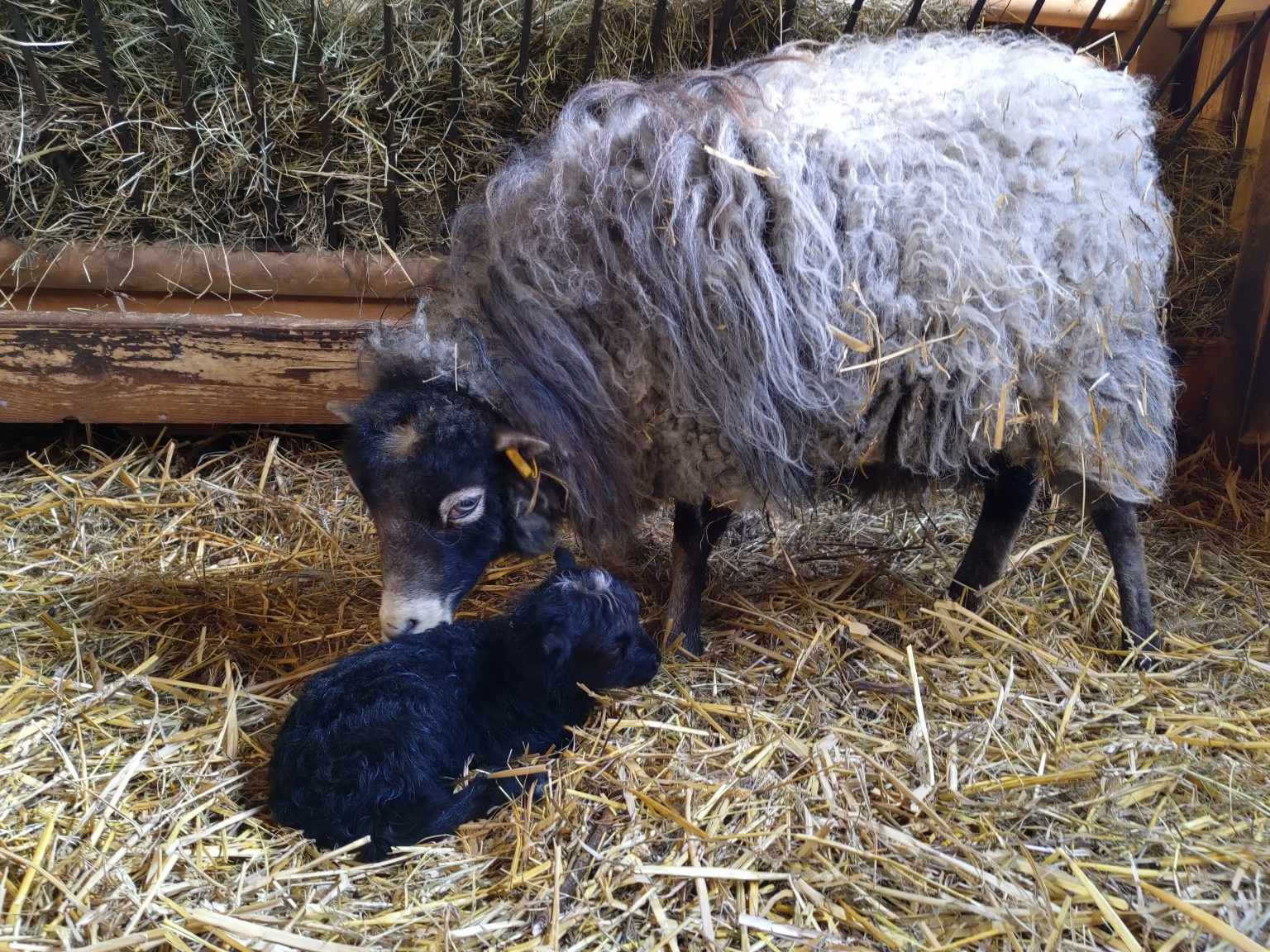 Aktivspielplatz Krempoli